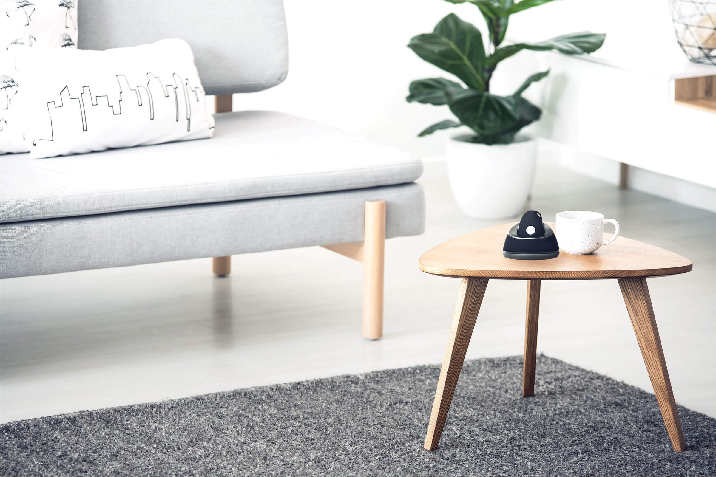 Buy TEQ-Secure: Falls & SOS Pendant